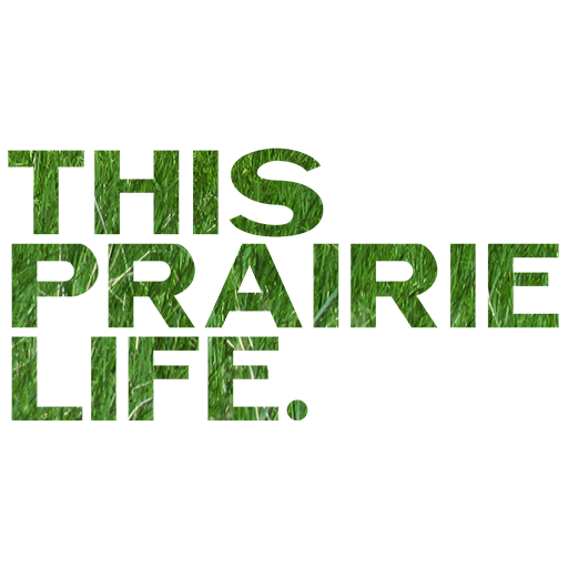 This Prairie Life.